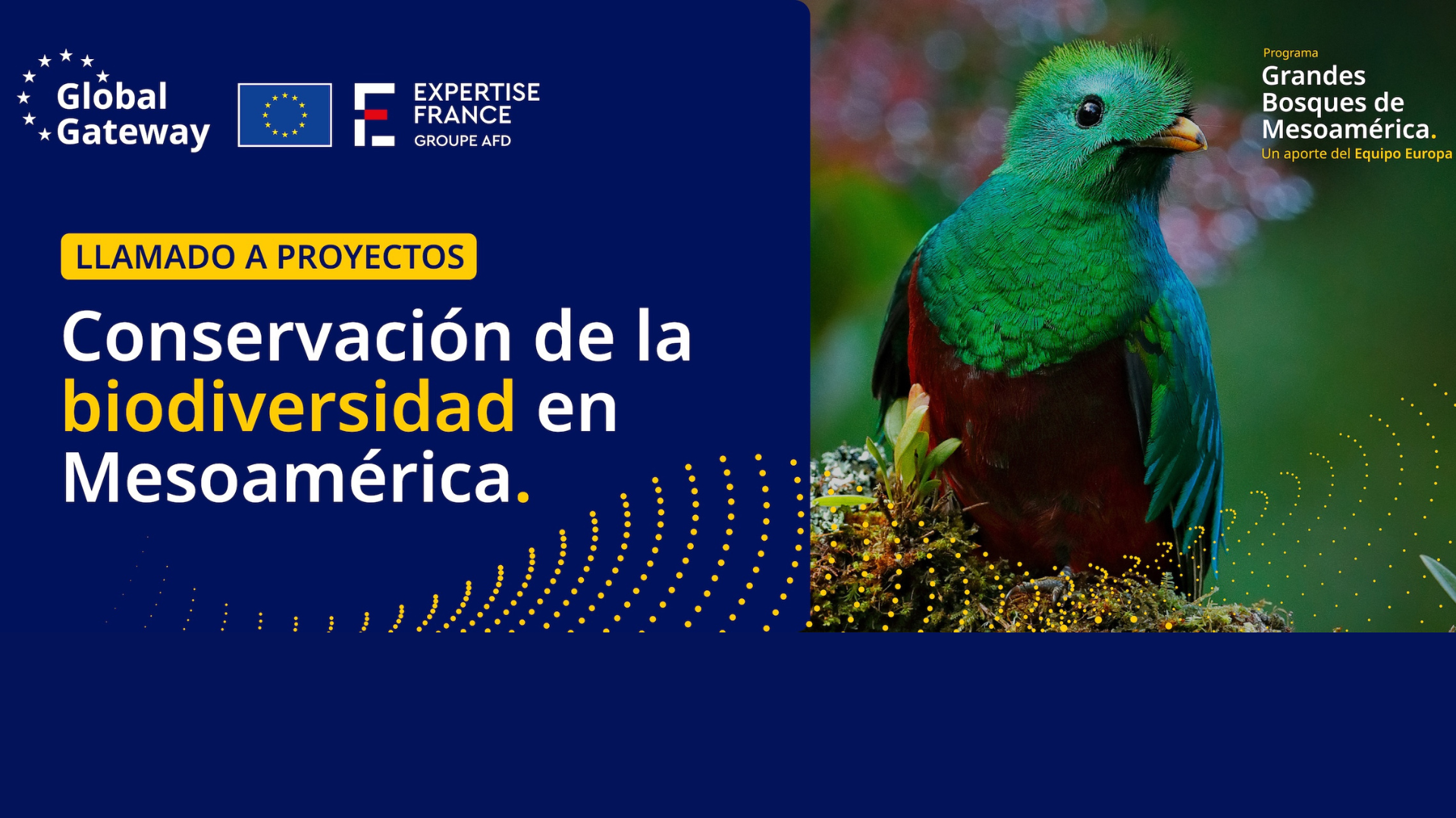 Convocatoria UE para la conservación de la biodiversidad en Mesoamérica